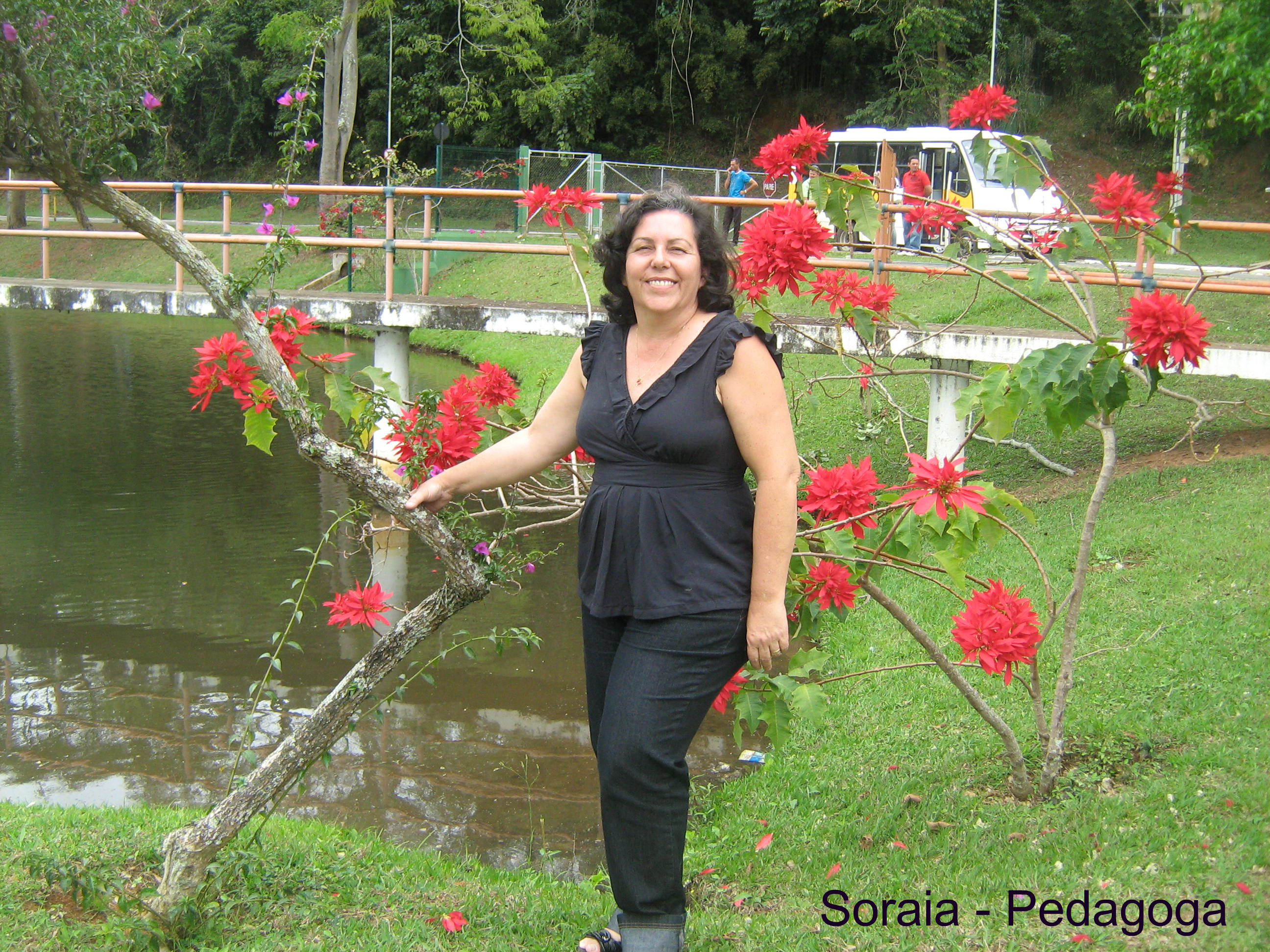 E M Eliana Francisca de Freitas